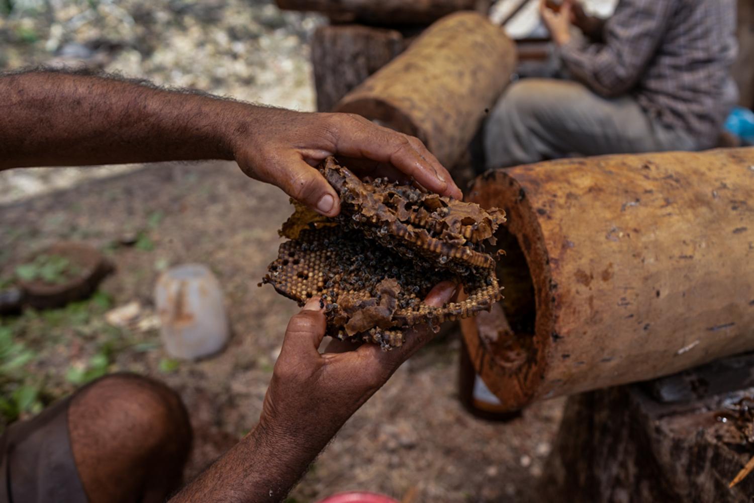 Mexico | The Ancient Lady of the Yucatán | Nima Taradji | staging ...