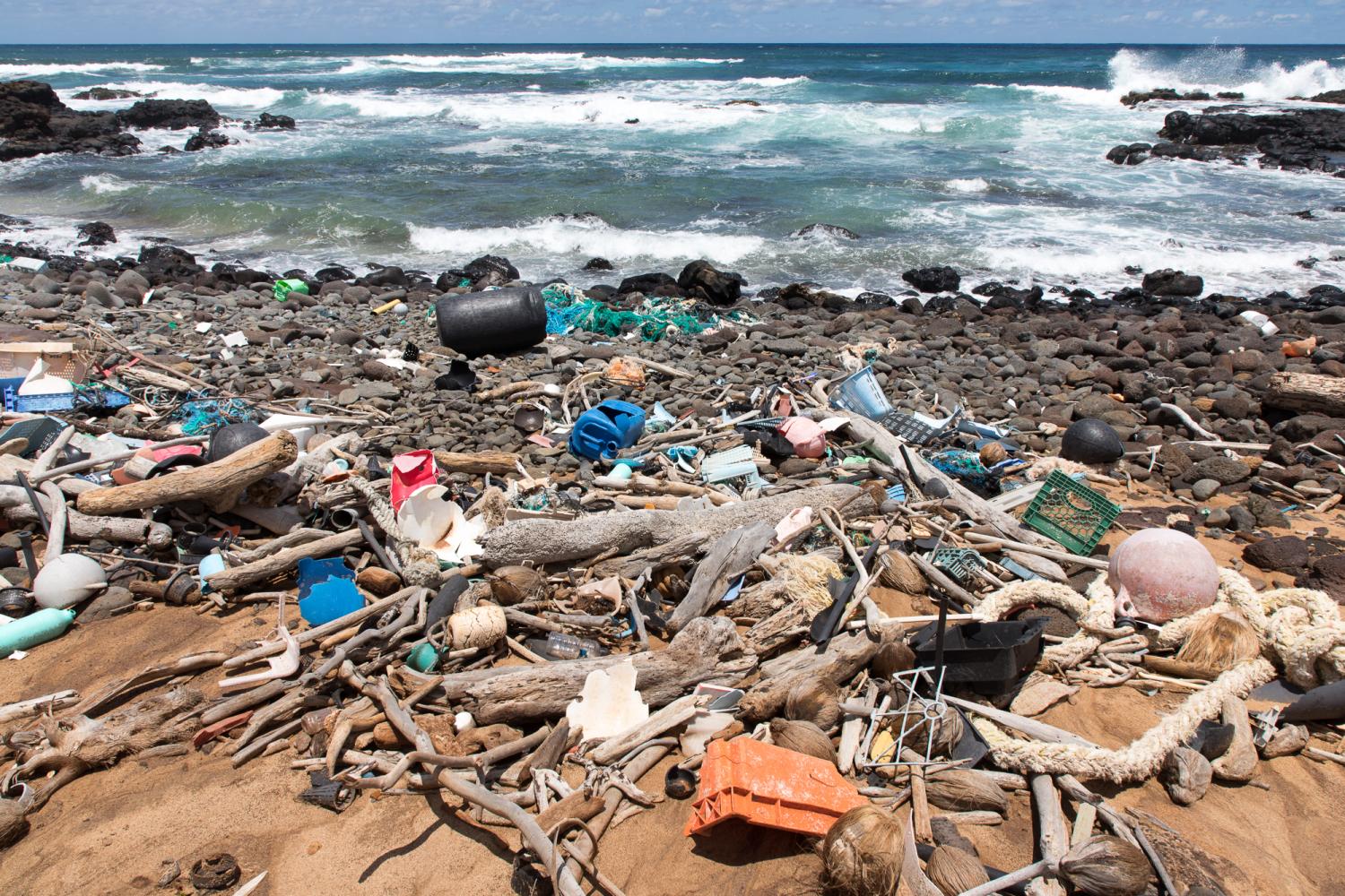 United States | Washed Ashore: Hawaiian Islands | Elizabeth Weber ...